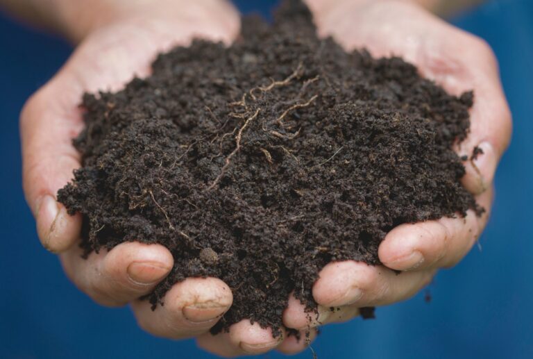 Cos’è l’Humus di Lombrico e Perché Usarlo nel Tuo Orto | Lombrico Amico